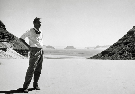 MAVERICK - THE EPIC ADVENTURES OF DAVID LEAN - Festival de Cannes